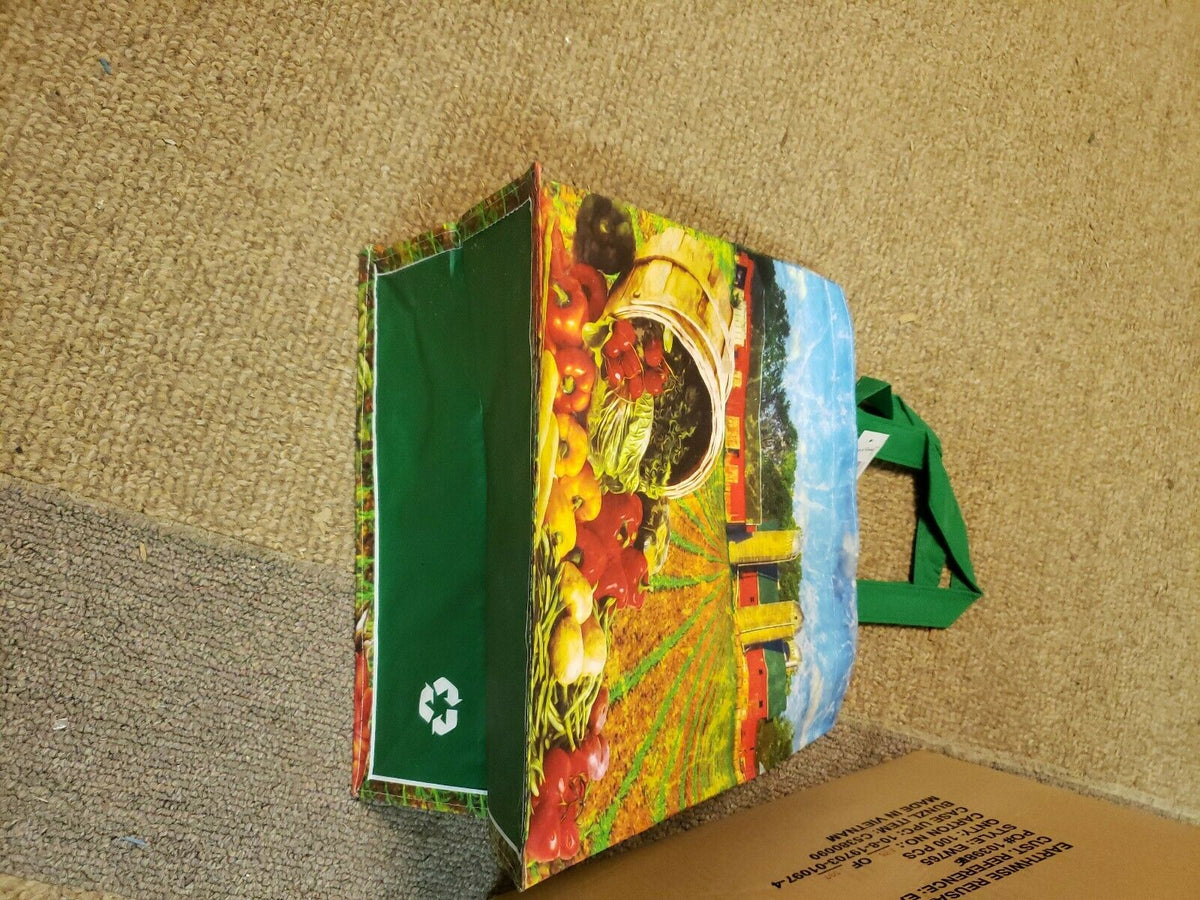 NEW EARTHWISE REUSABLE / COLLAPSIBLE GROCERY SHOPPING BAGS SILO PRI...